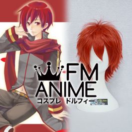 V Singer Akaito Cosplay Wig – FM-Anime Cosplay Shop
